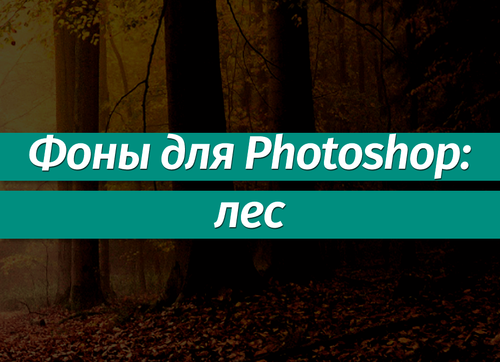 Фоны для Фотошопа: Лес